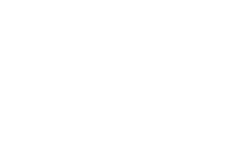 Dolphin Gun Company - Dolphin Gun Company PROFESSIONAL RIFLE DESIGN ...